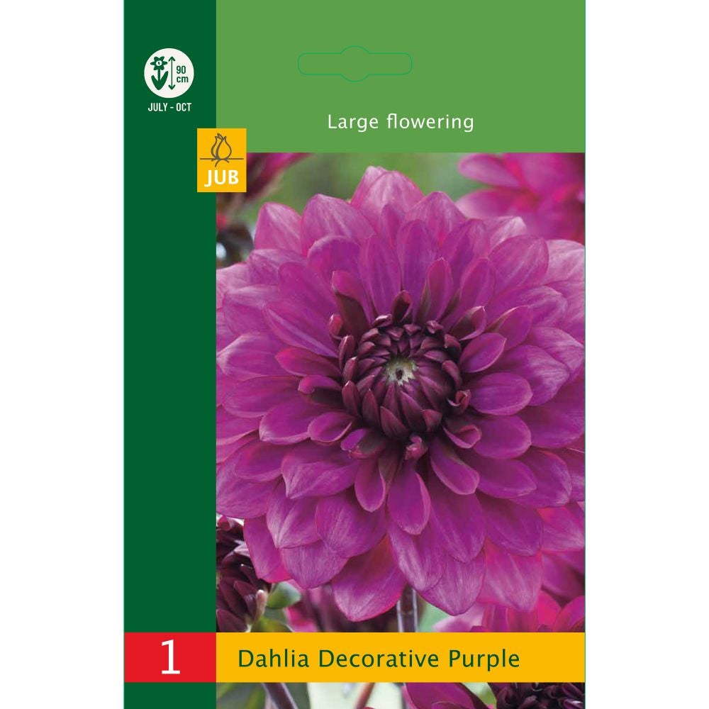 Bulbi dalia decor roz