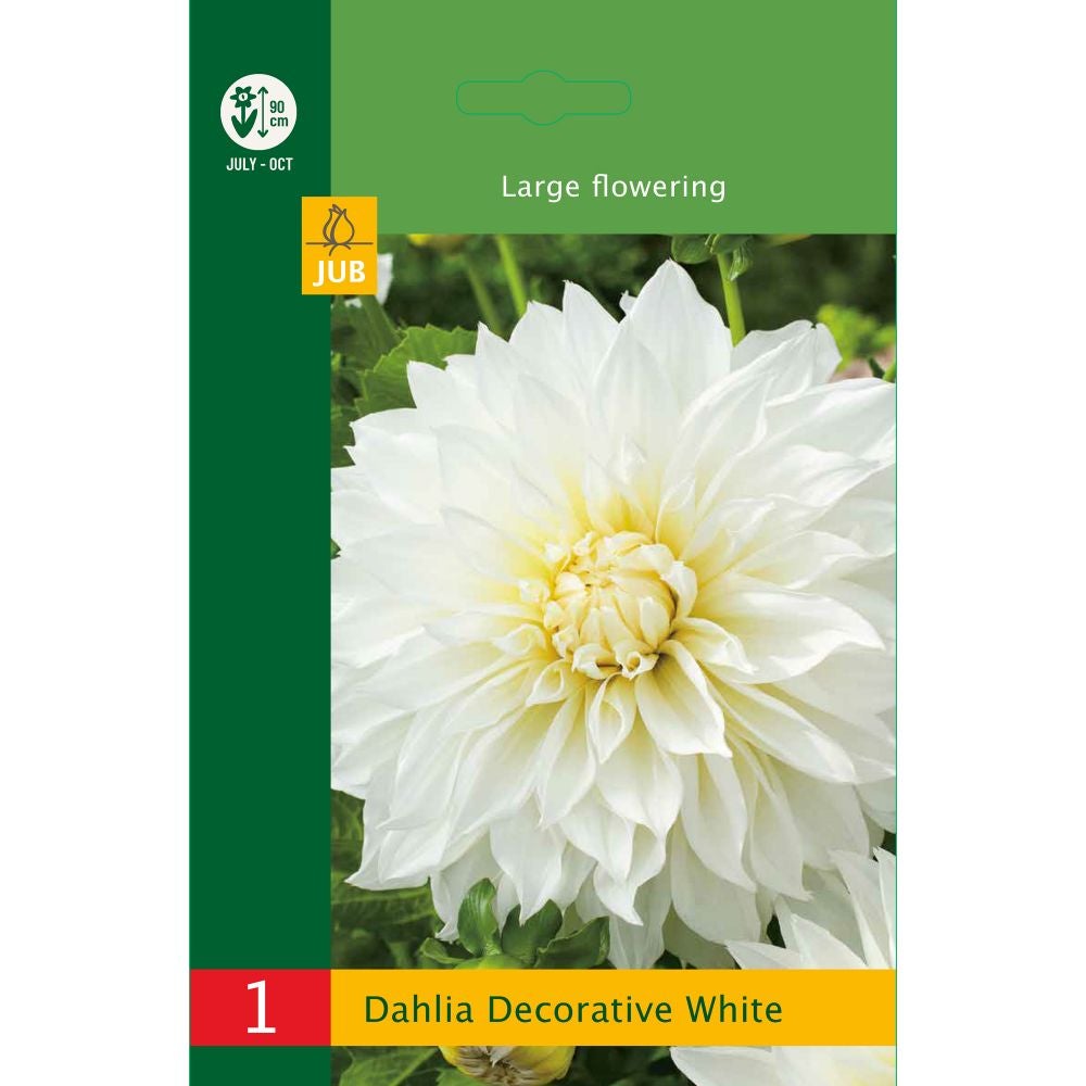 Bulbi dalia decor alb