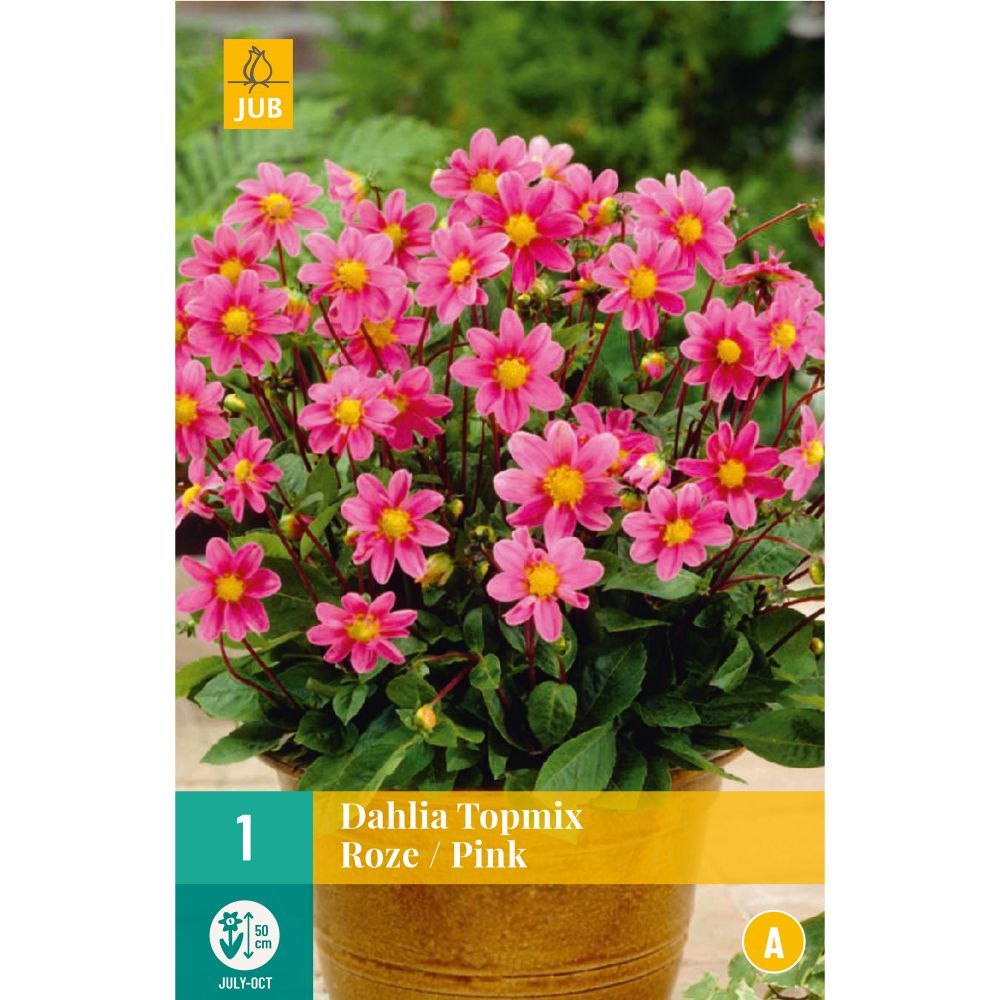 Bulbi dalia topmix roz