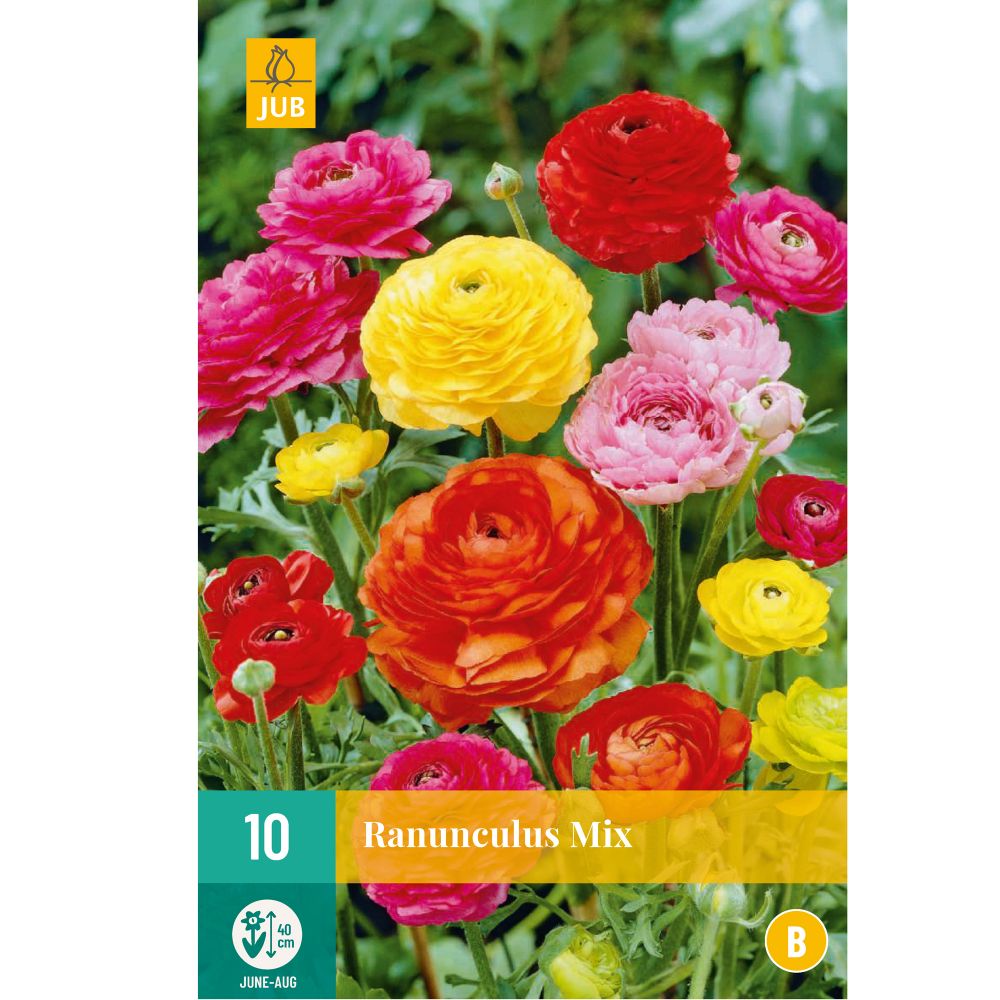 Ranunculus mix