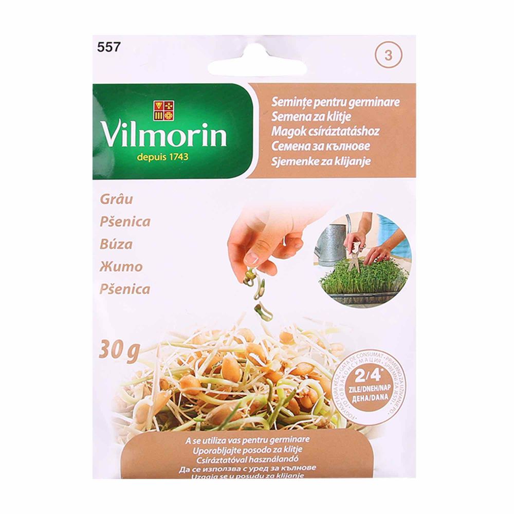 Seminte pentru germinare, grau, Vilmorin