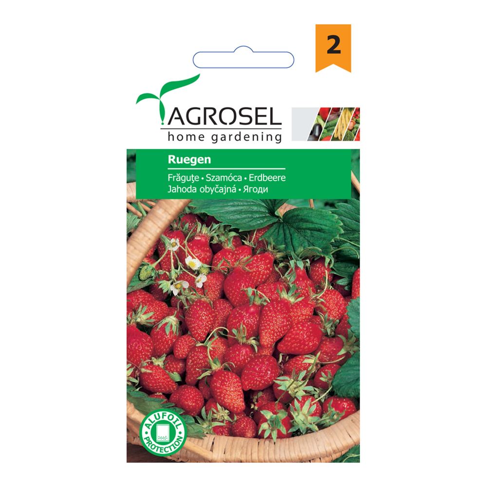 Seminte fragute Ruegen, Agrosel