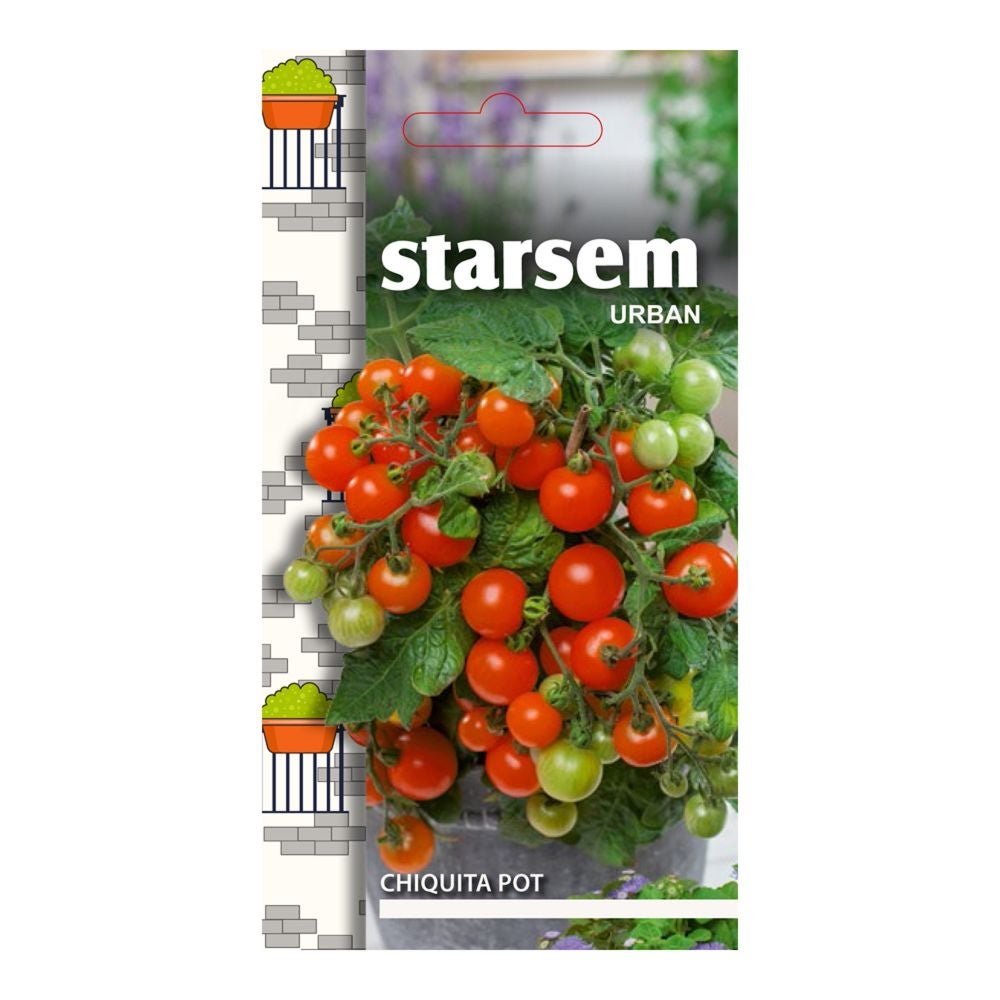 Seminte legume, rosii Chiquita Pot, Starsem