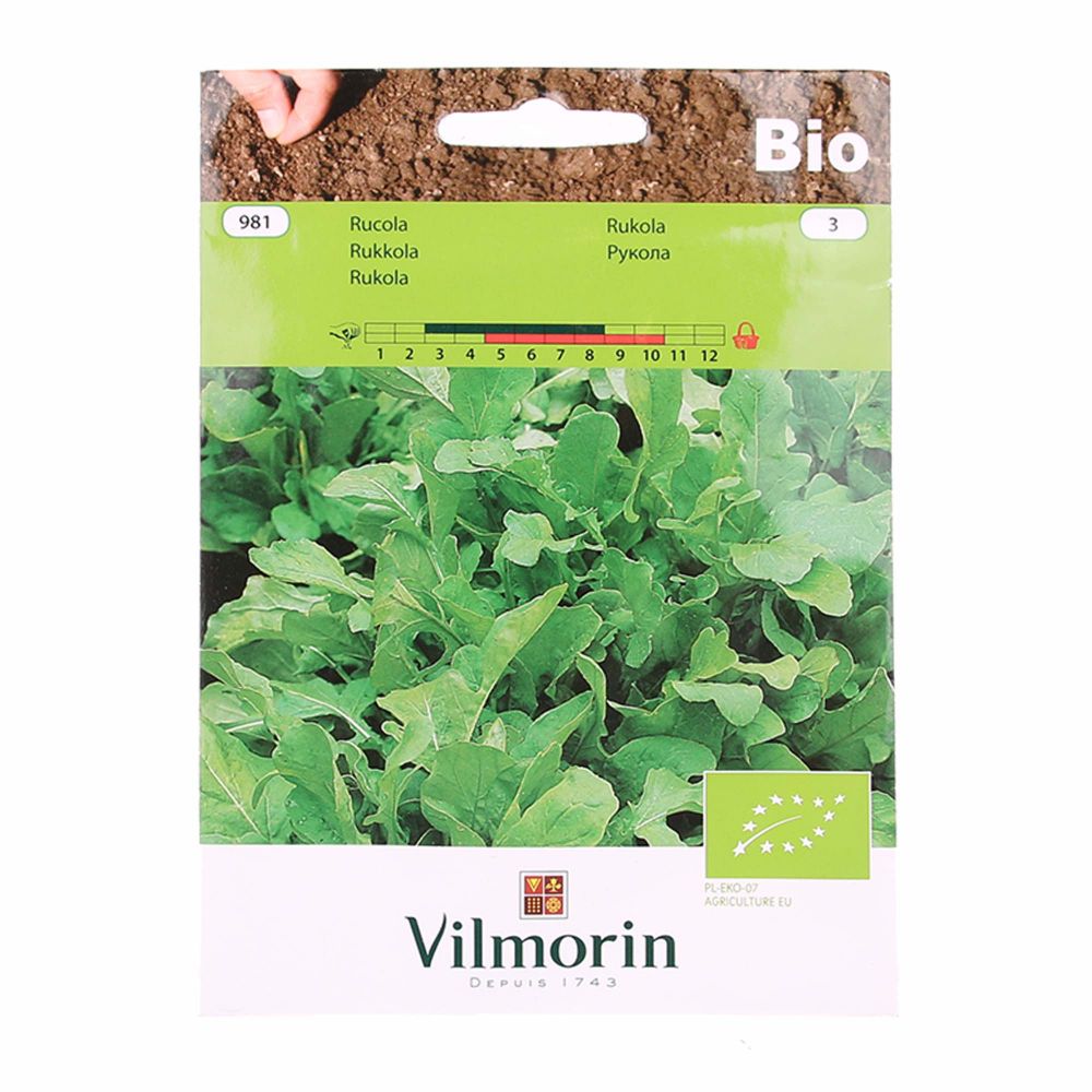 Seminte rucola eco Vilmorin