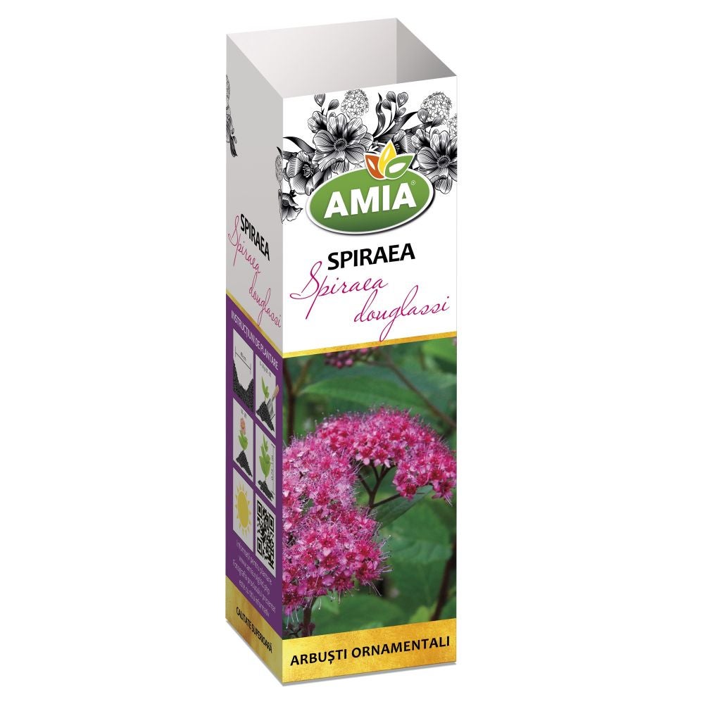 Arbust ornamental cu flori, cununita, Spiraea Douglassi, roz