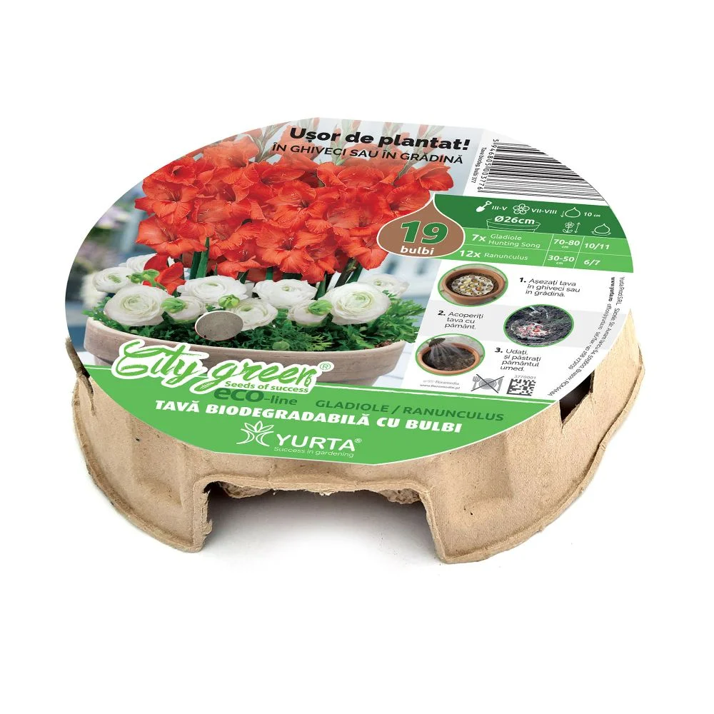 Bulbi gladiole/ranunculus, in tava biodegradabila, rosii/alb (19 buc)