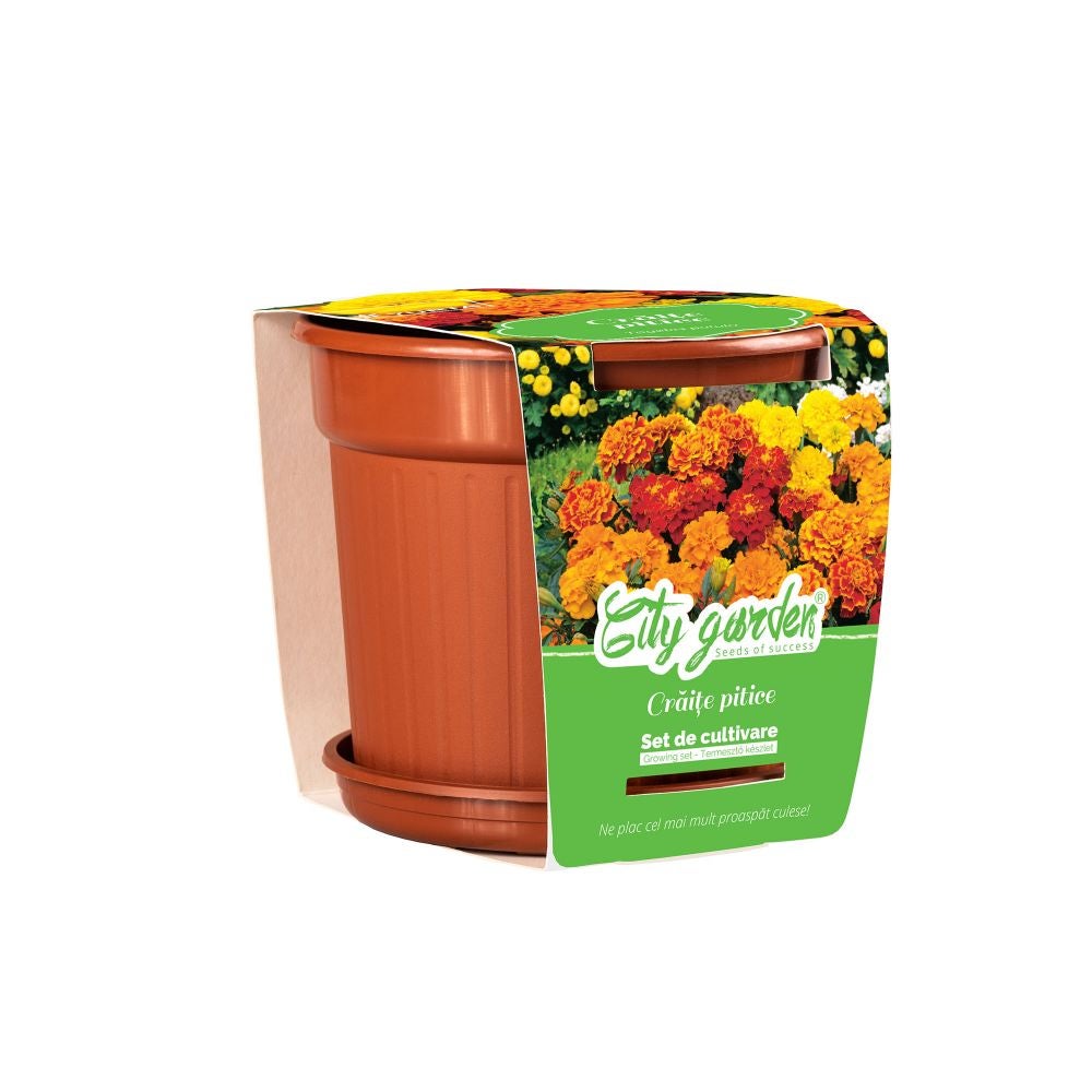 Set de cultivare flori decorative, Craite pitice, Tagetes patula nana