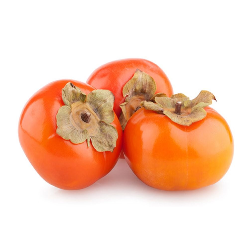 Pom fructifer curmal japonez Red Diamond, H 81-120 cm, portocaliu/rosu