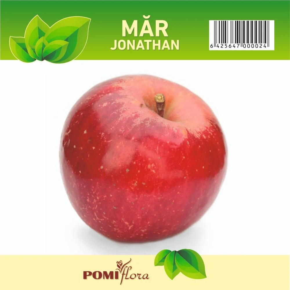 Pom fructifer mar Promo, H 81-120 cm, diverse sortimente