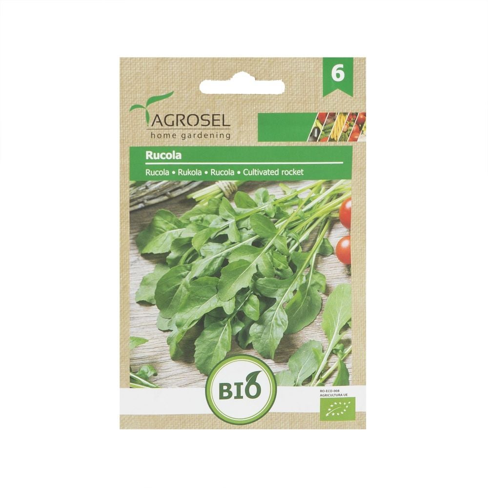 Seminte rucola eco