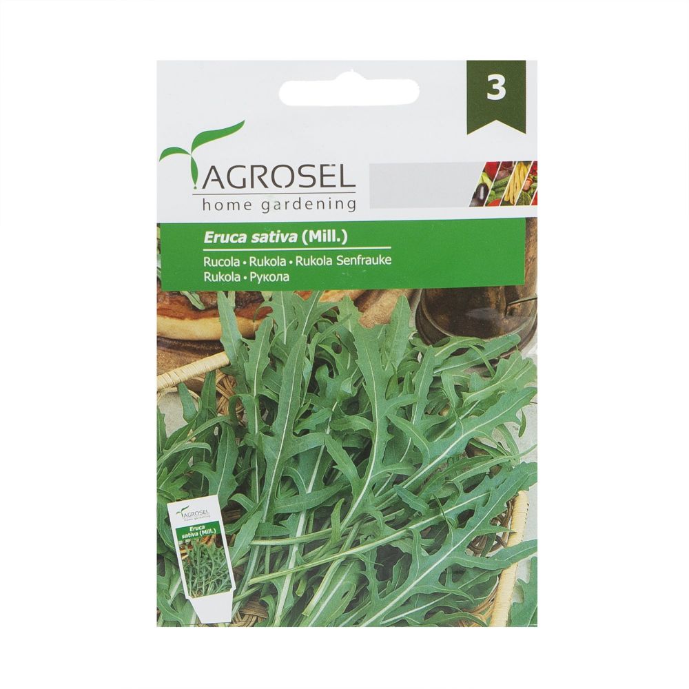 Seminte plante aromatice, rucola Eruca Sativa, Agrosel