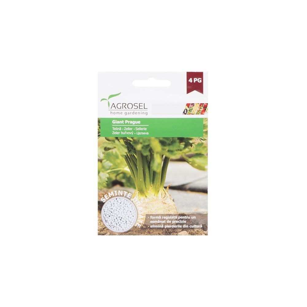 Seminte telina radacina Giant Prague
