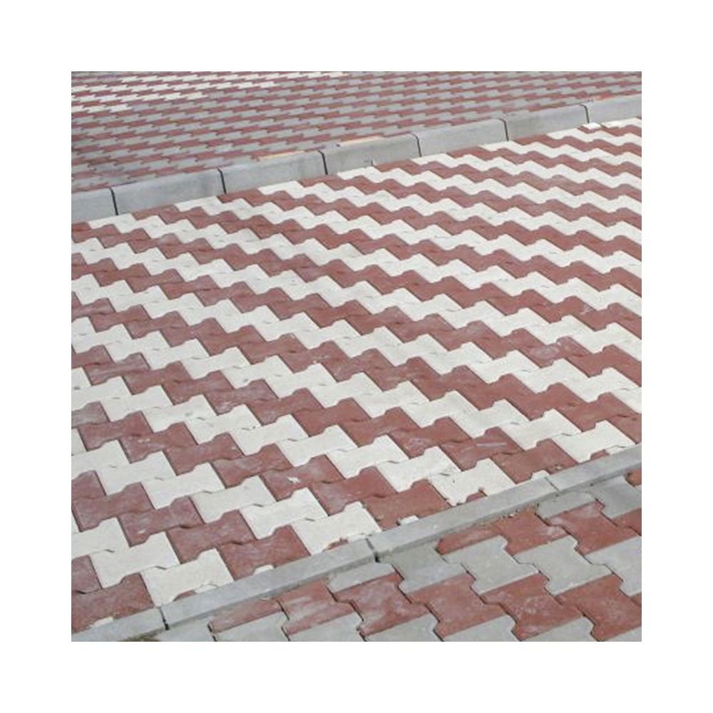 5 mituri despre pavele. Afla cum stau lucrurile in realitate!