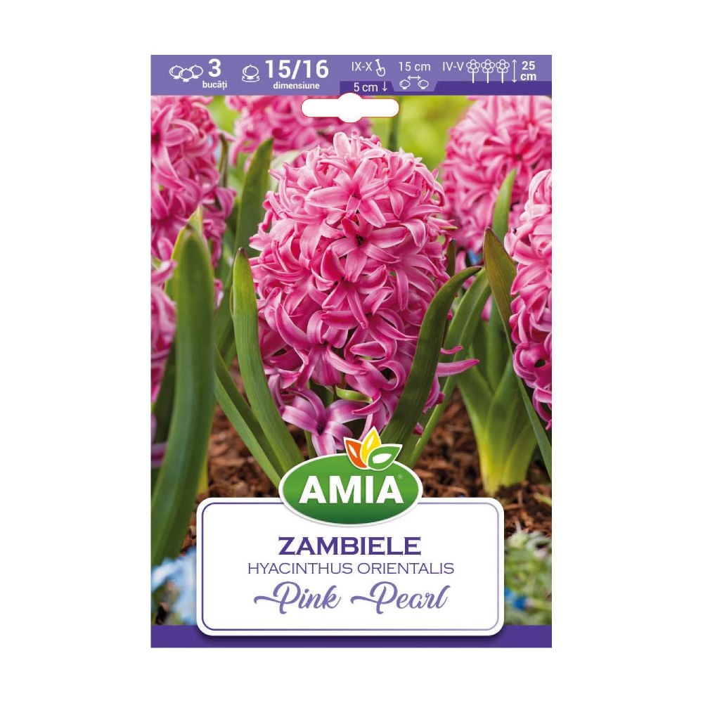 Bulbi zambila Pink Pearl, Amia, roz (3 buc)