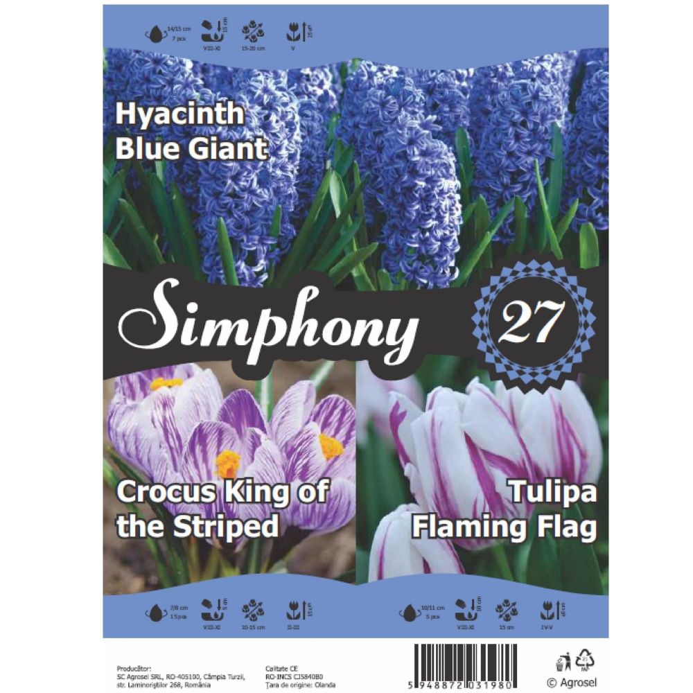Bulbi branduse, lalele, zambile, Symphony, mix culori (27 buc)