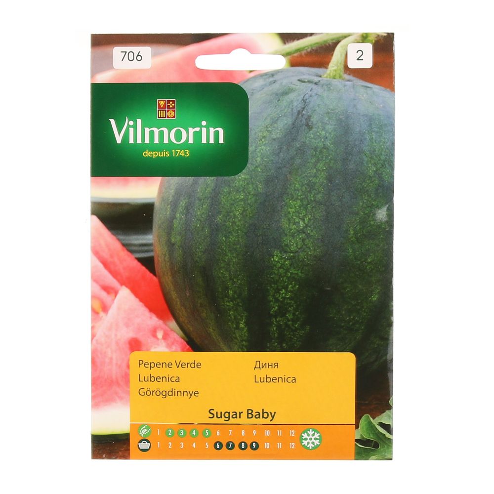 Seminte pepene verde Sugar Baby, Vilmorin