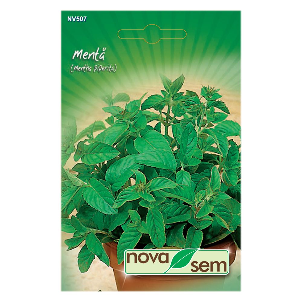 Seminte plante aromatice, menta, Novasem