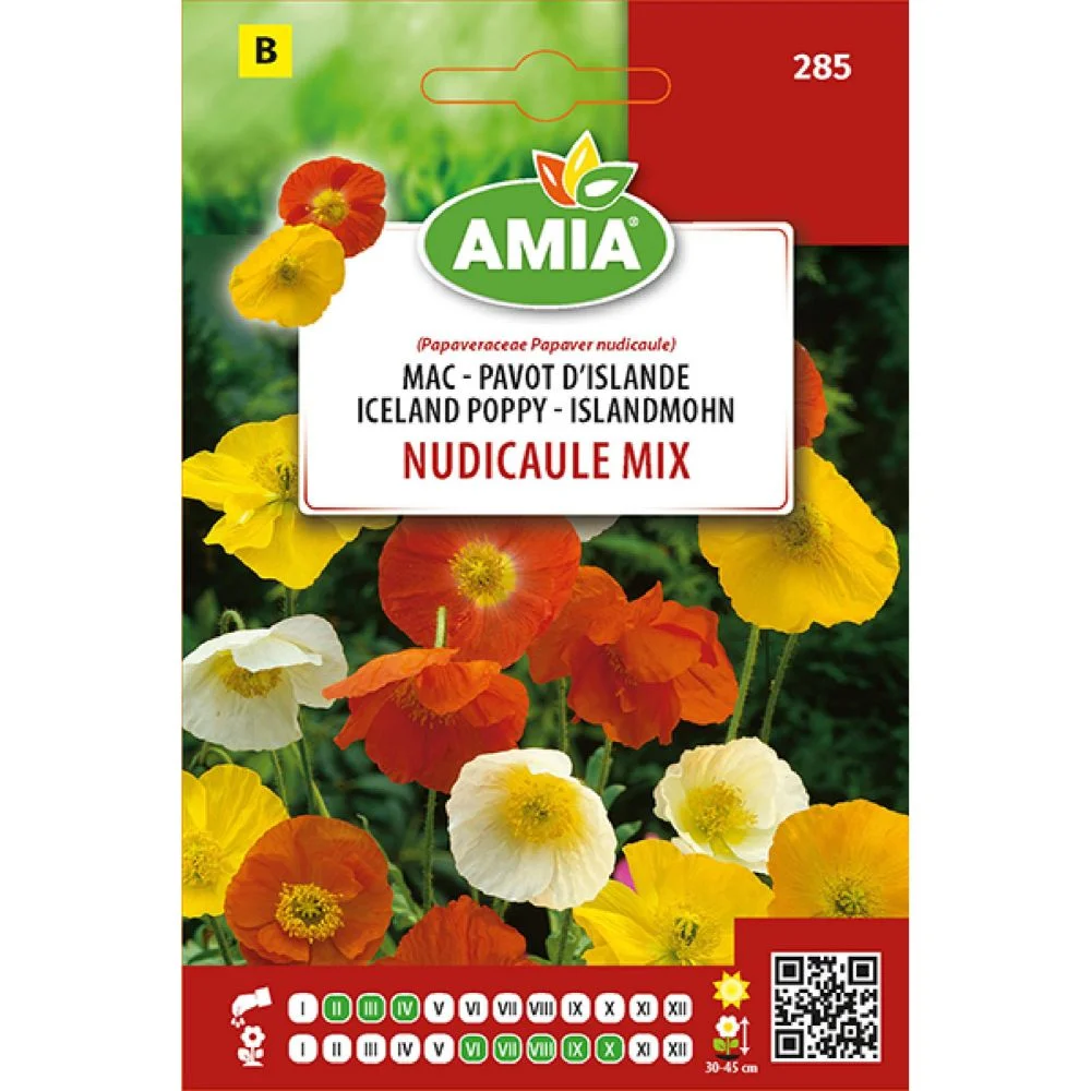 Seminte flori de primavara, Mac Nudicaule, amestec culori, Amia
