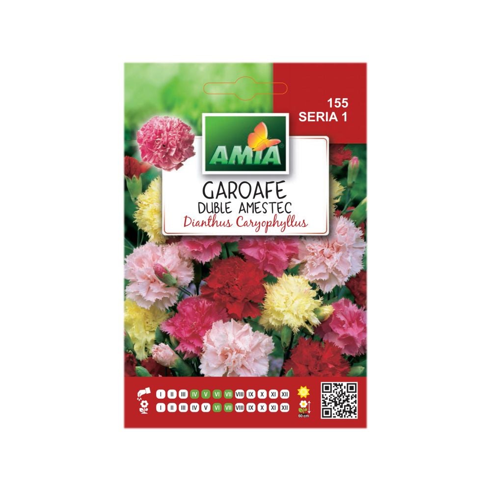 Seminte flori de primavara, garoafe duble, amestec culori, Amia, 0.5 g