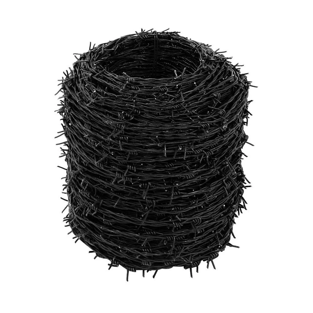 Sarma ghimpata neagra 100 m