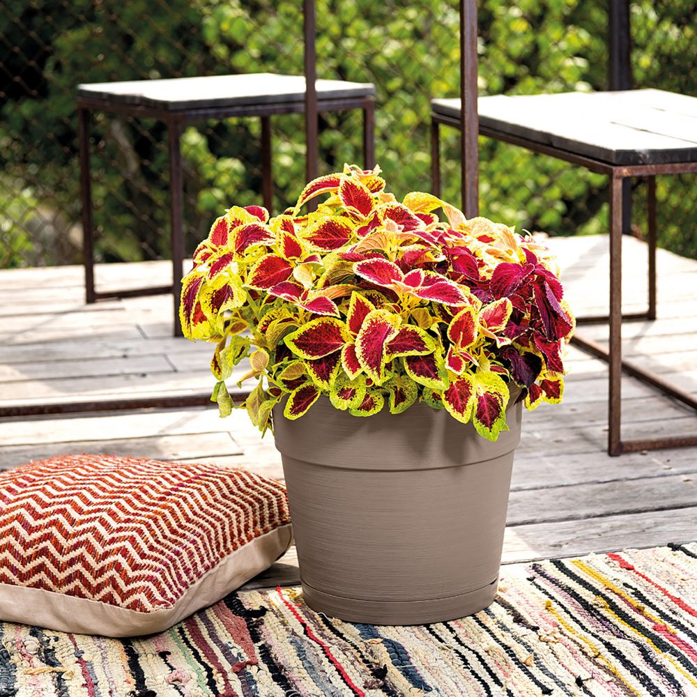 Ghiveci flori Save, plastic, Ø 29 cm, maro