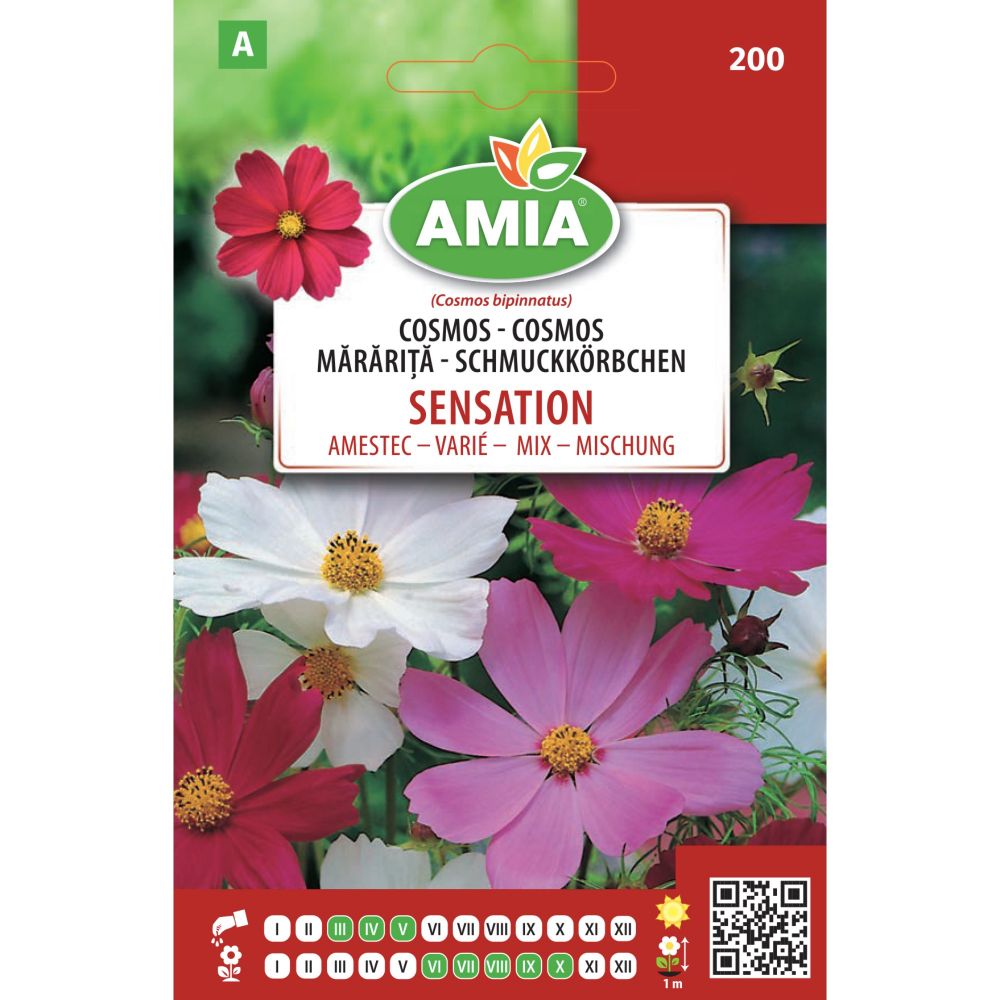 Seminte flori de primavara, cosmos / mararita, amestec culori, Amia, 2 g