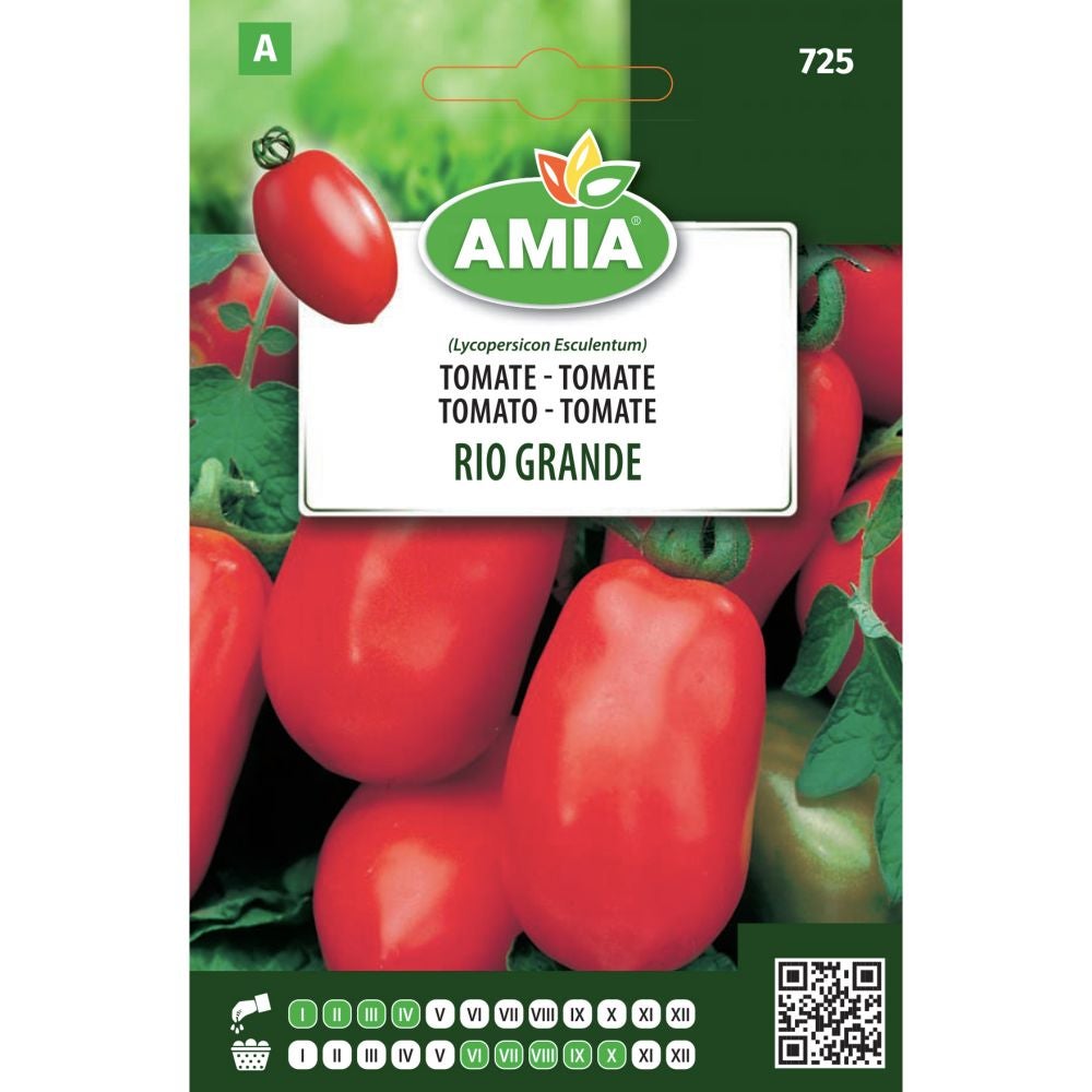 Seminte legume, rosii Rio Grande, Amia