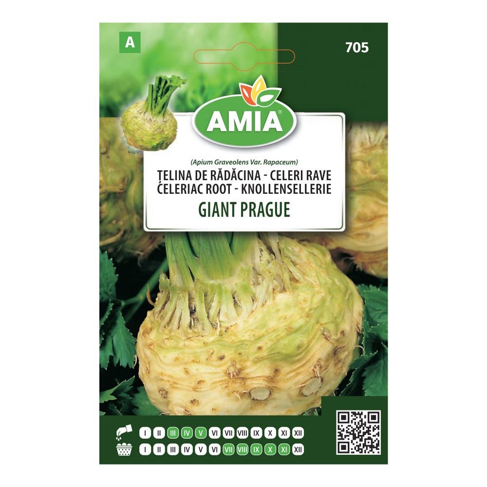 Seminte legume, telina radacina Giant Prague, Amia