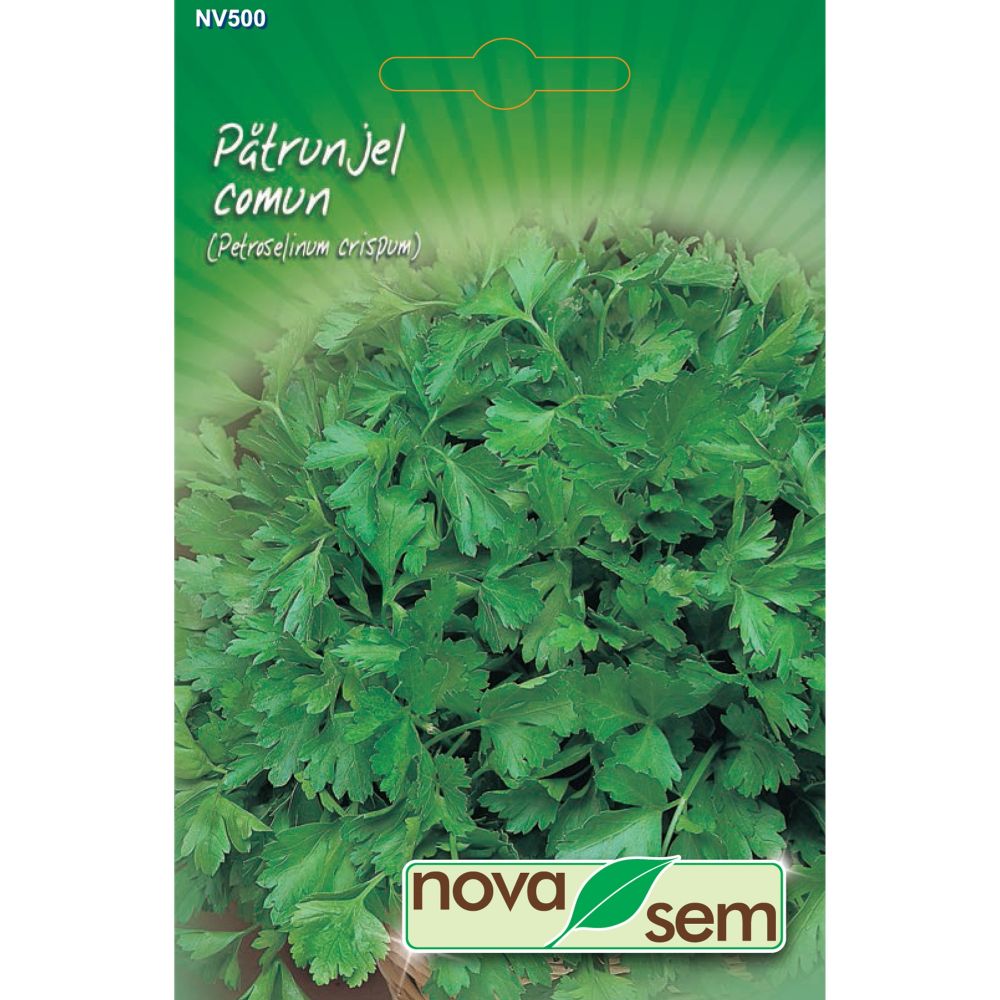 Seminte plante aromatice, patrunjel comun, Novasem