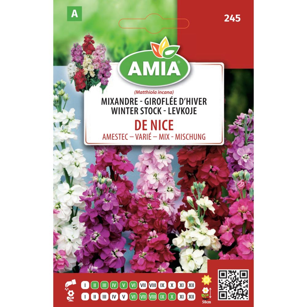 Seminte flori de primavara, mixandre d'hiver de nice, amestec culori ...