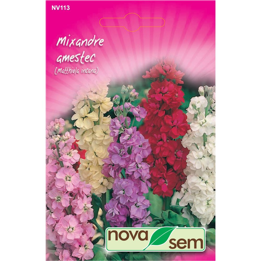 Seminte flori de primavara, Mixandre, amestec culori, Novasem