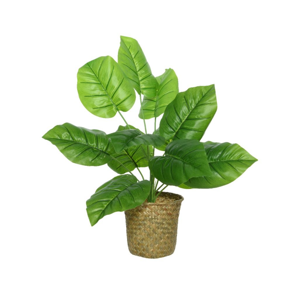 Planta artificiala in ghiveci, taro, H 42 cm
