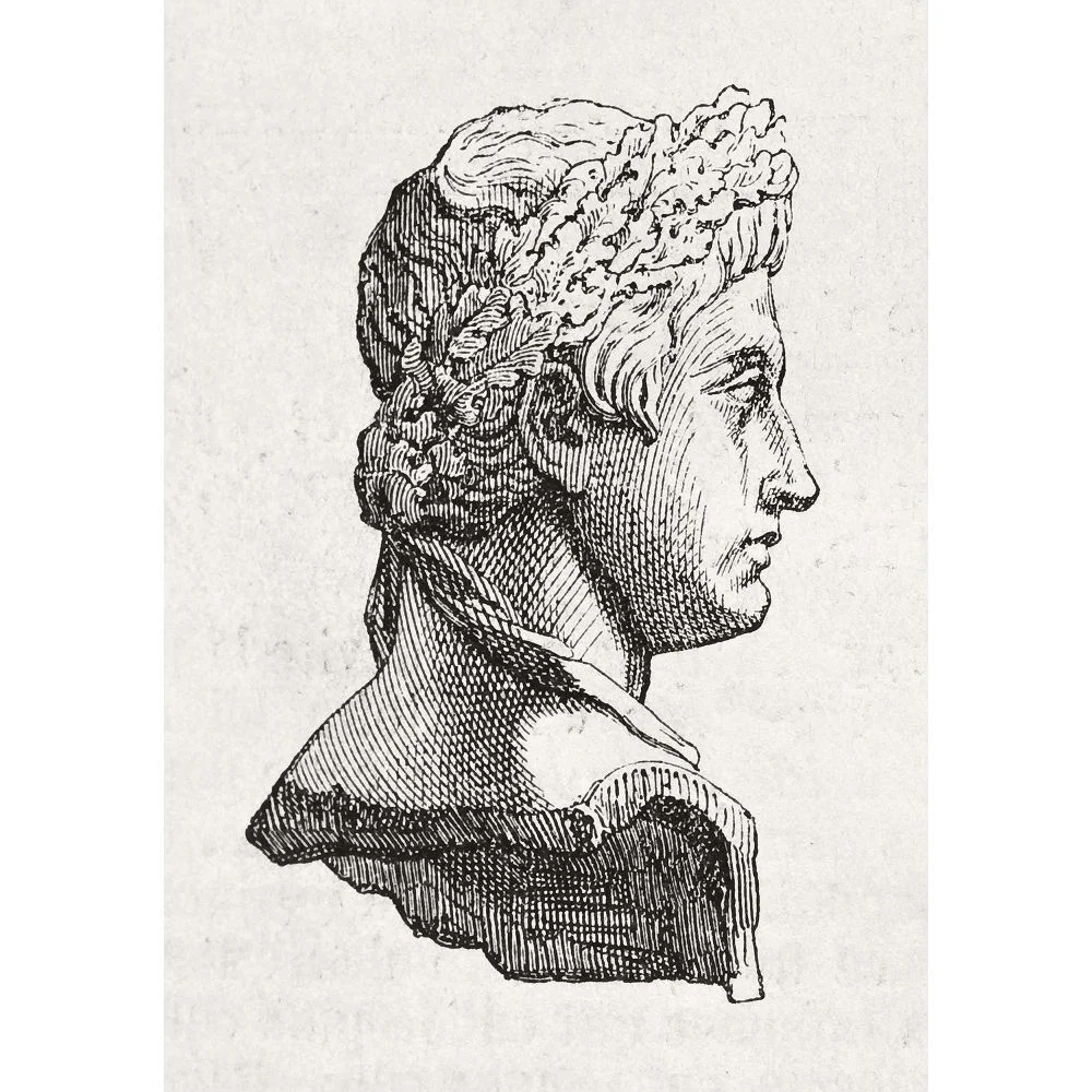 Poster imprimat Portret antic barbat, 21 x 30 cm
