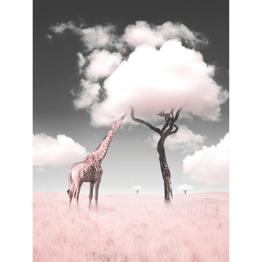 Poster imprimat Giraffe Cloud, 30 x 40 cm