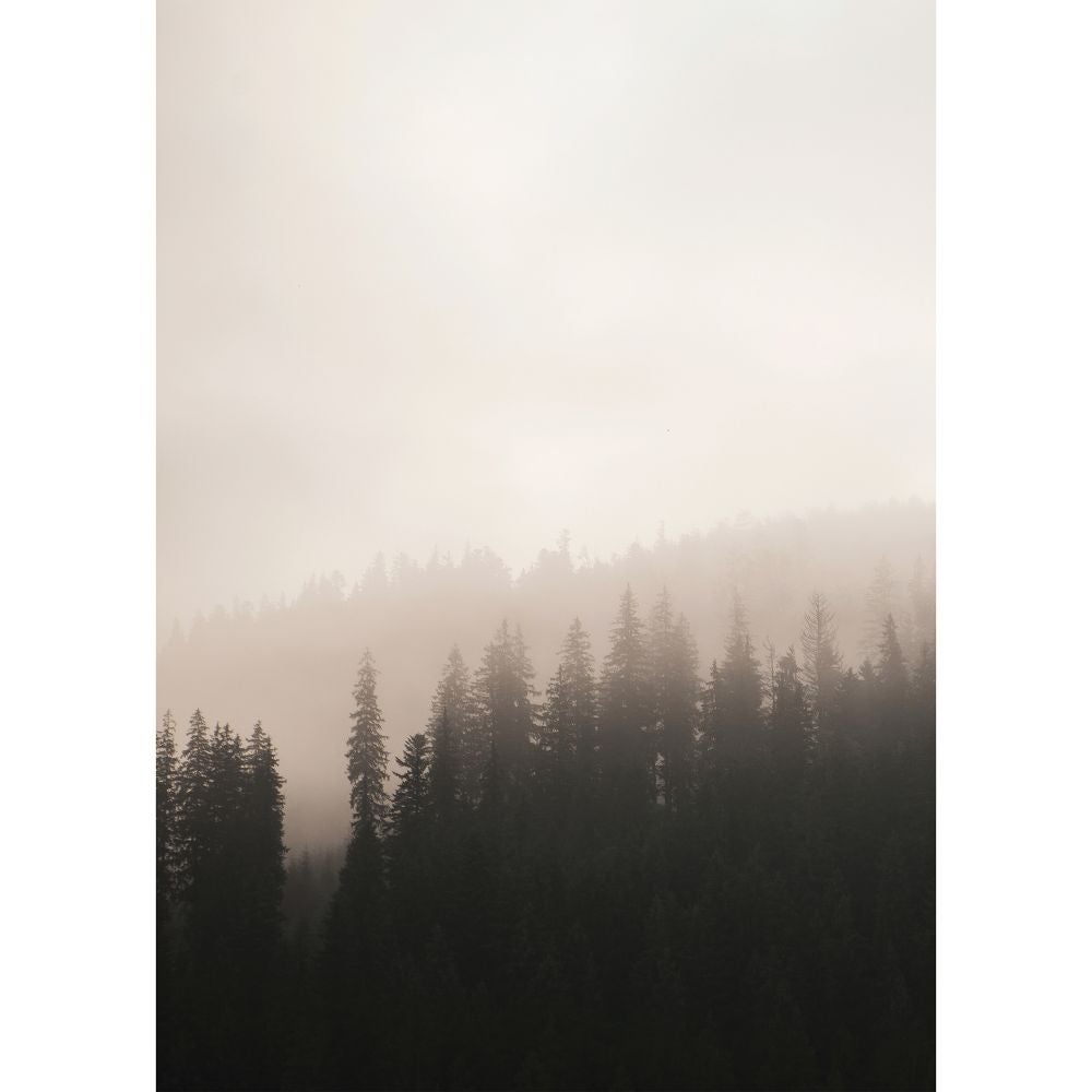 Poster imprimat Peisaj in ceata, 50 x 70 cm