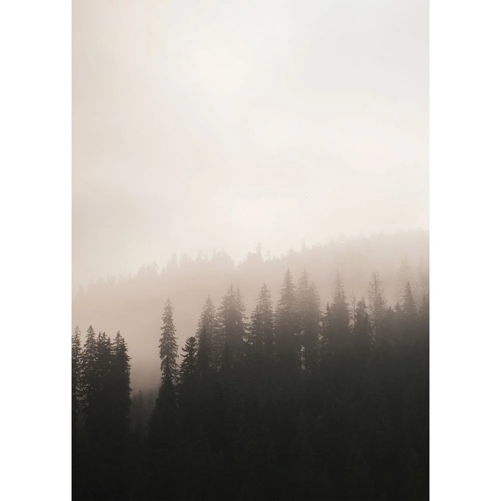 Poster imprimat Peisaj in ceata, 50 x 70 cm