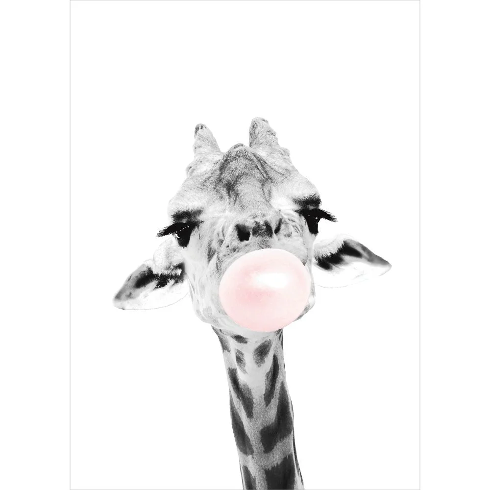 Poster imprimat Girafa bubble Gum, 50 x 70 cm
