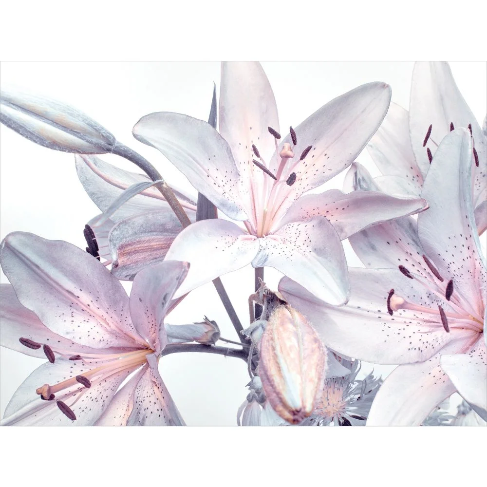 Poster imprimat Crini, 30 x 40 cm