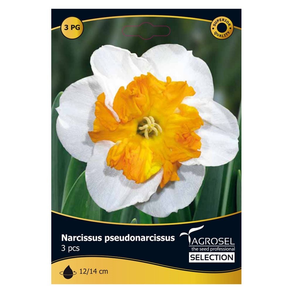 Bulbi narcisa Pseudonarcissus Curly, Agrosel, galben (3 buc)