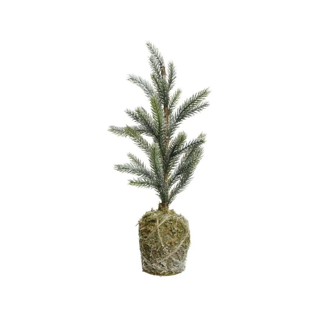 Mini bradut pe muschi 42 cm