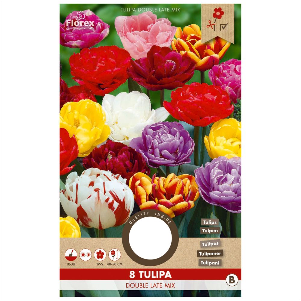 Bulbi lalea Double Late Mix, Florex, mix culori (8 buc)