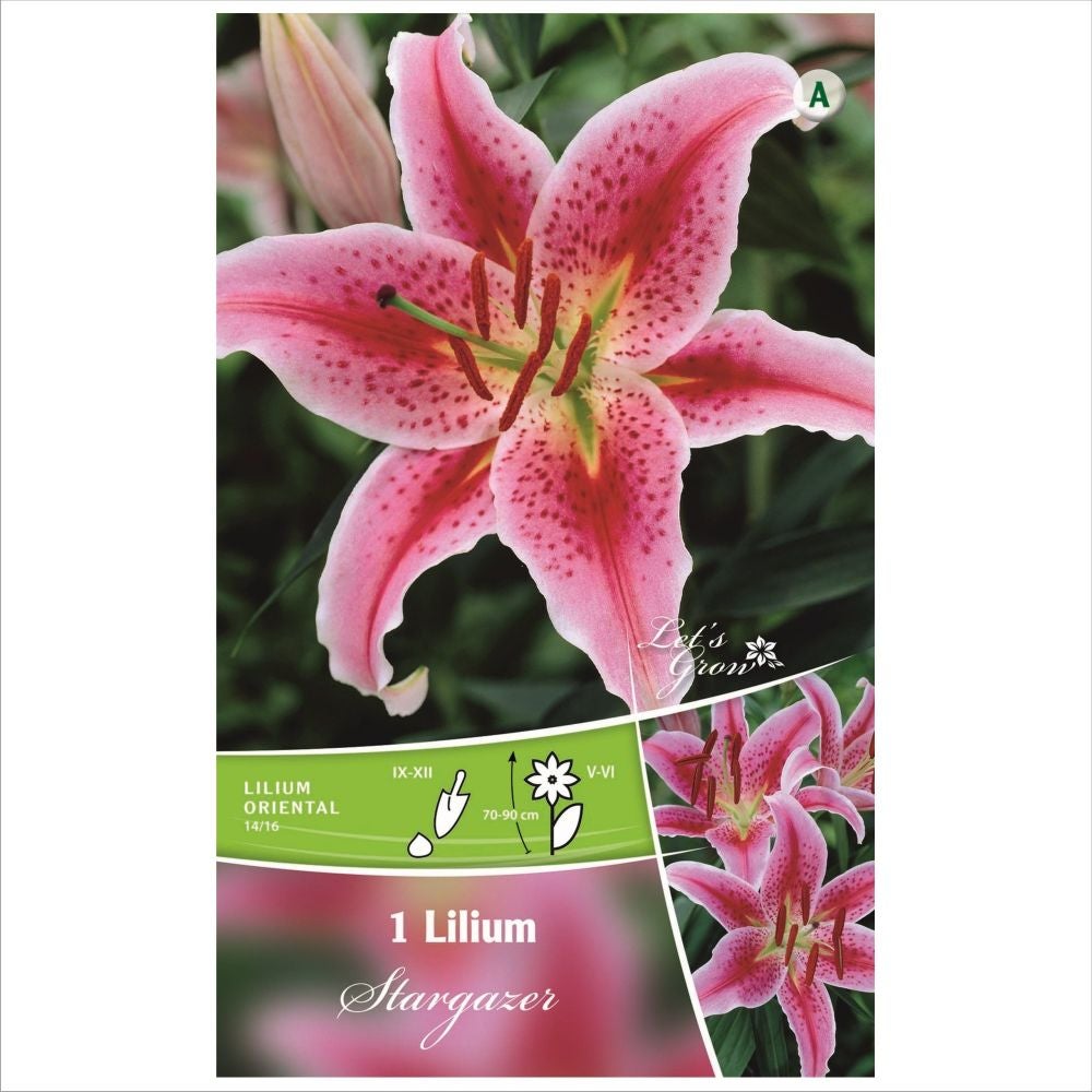 Bulbi crin Lilium Stargazer, Let's Grow, roz (1 buc)