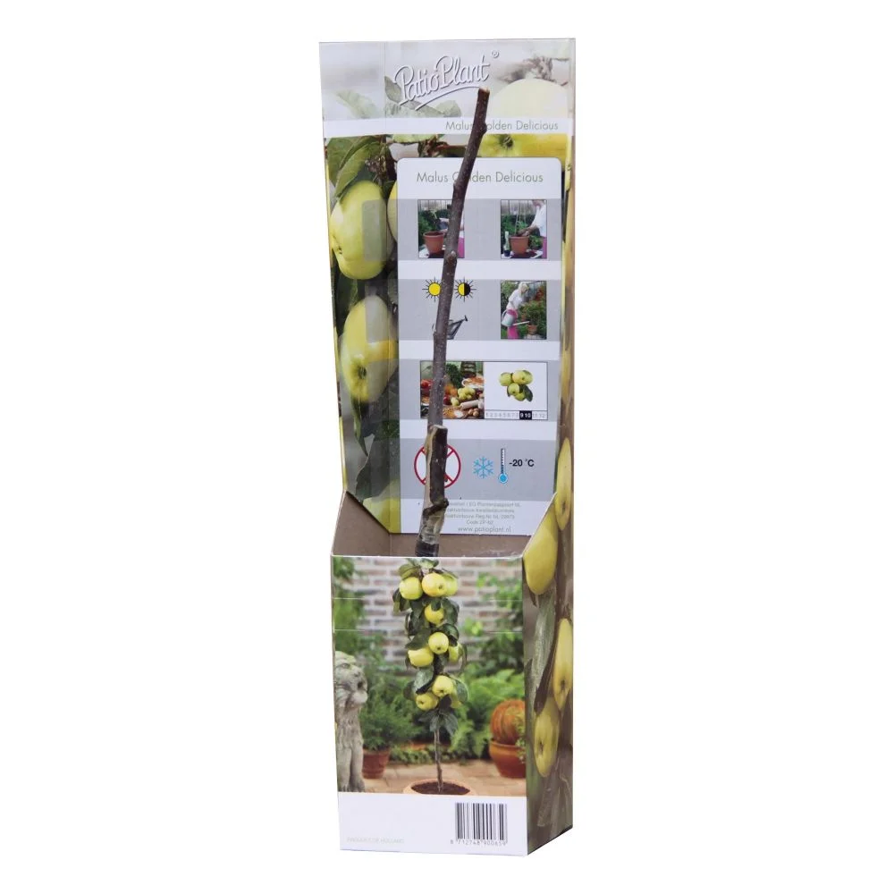 Pom fructifer Mar golden delicious