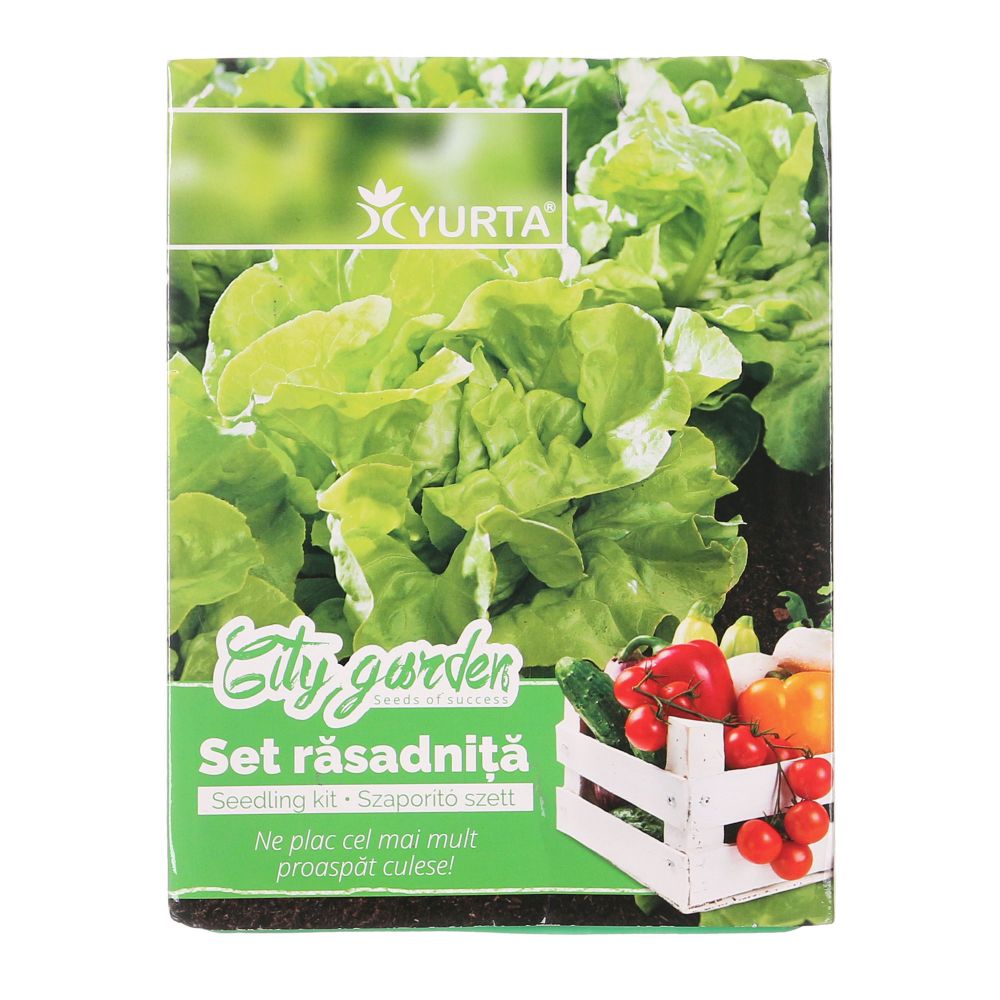 Set rasadnita, soi de salata capatana, Lactuca sativa