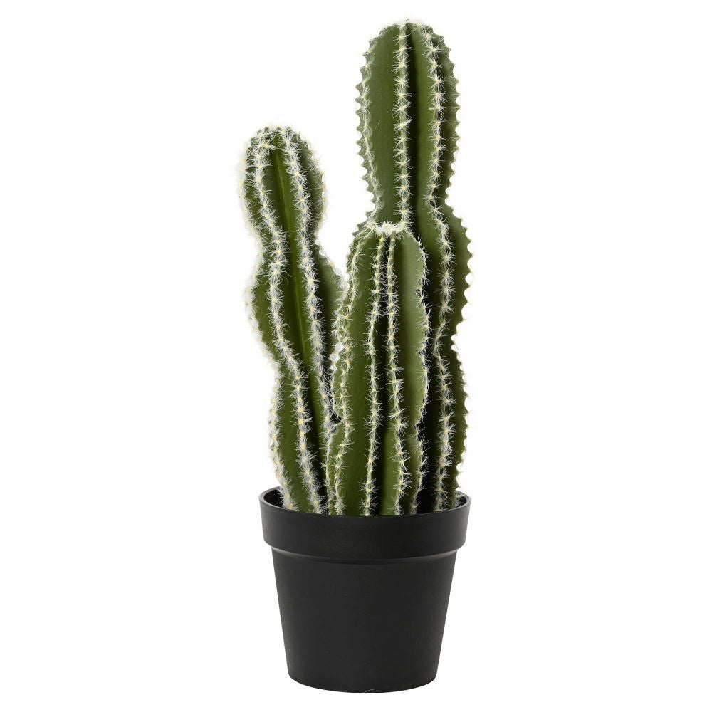 Planta artificiala in ghiveci, Cactus, Ø 20 cm, H 61.5 cm