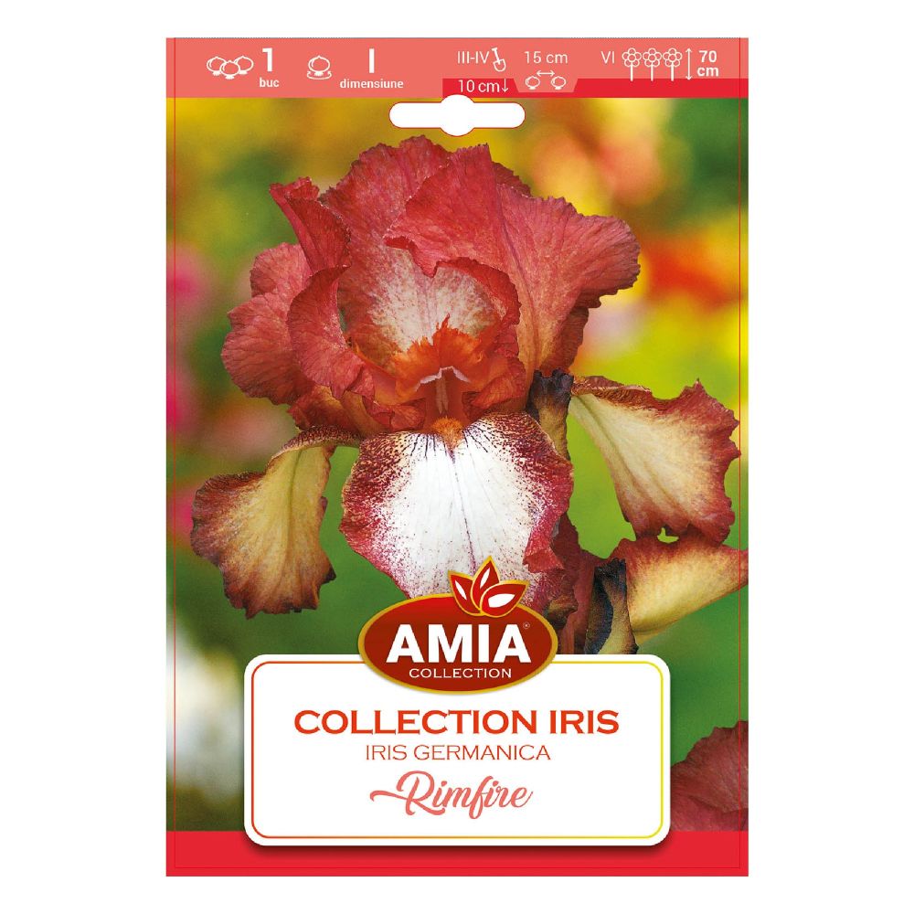 Bulbi Iris, Rimfire, portocaliu, 1 buc