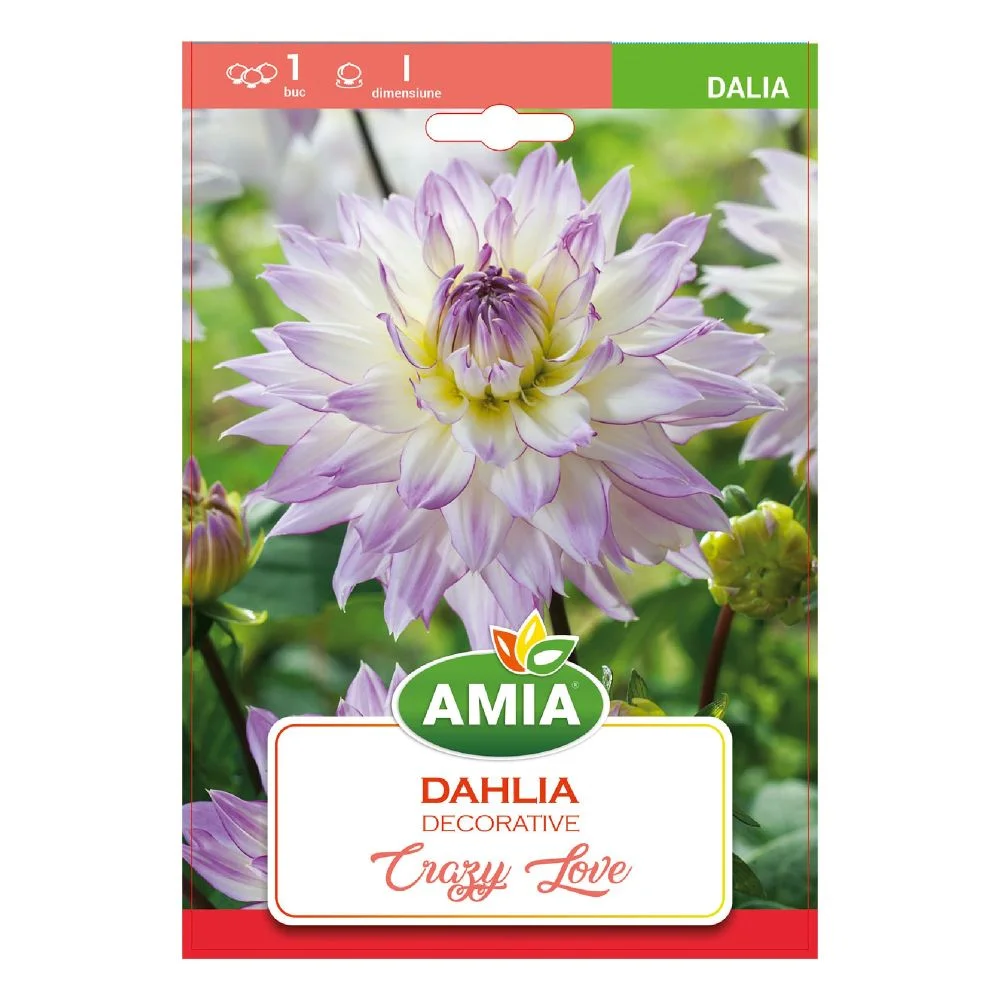 Bulbi Dalia, Crazy love, multicolora, 1 buc