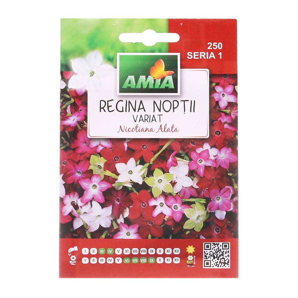 Seminte flori de primavara, regina noptii, amestec culori, Amia, 1 g