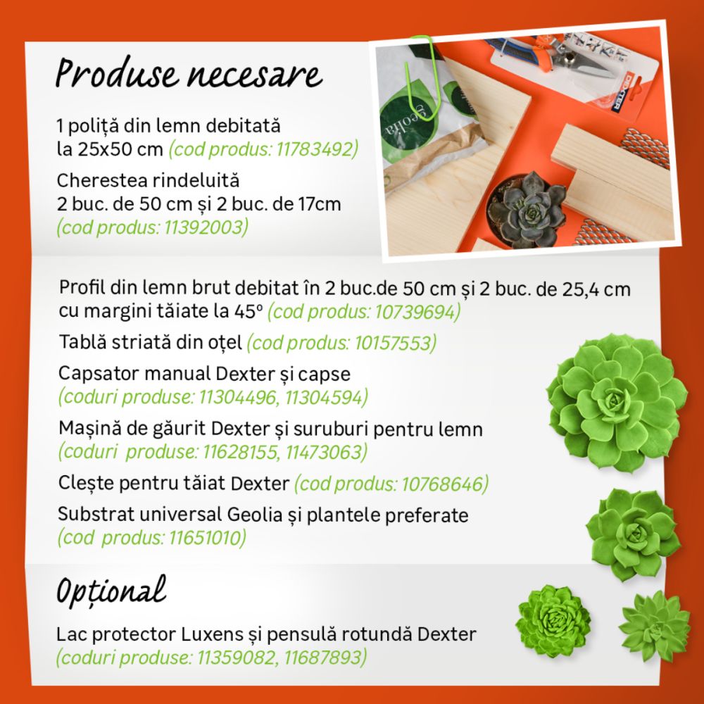 Idee de proiect DIY - Ghiveci din lemn, pentru suculente si cactusi