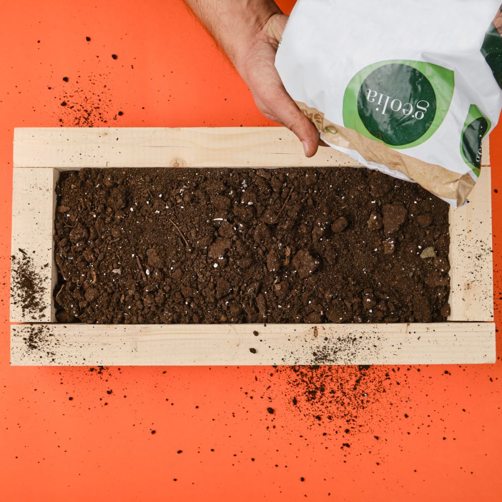 Idee de proiect DIY - Ghiveci din lemn, pentru suculente si cactusi